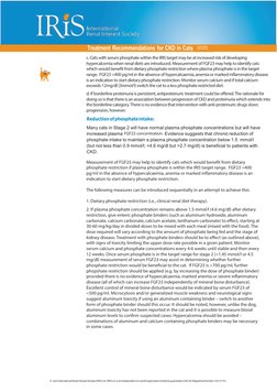 CKD Treatment Guidelines for Cats 2023 | PDF | Chronic Kidney Disease ...