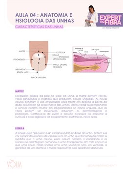 Anatomia e Fisiologia das Unhas | PDF | Unha | Pele