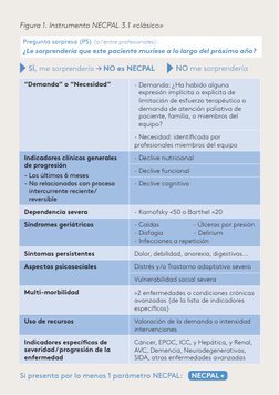 NECPAL 4.0: Pronóstico en Paliativos | PDF | Salud pública | Medicina