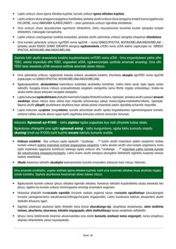 Isizulu Paper 1 Grade 12 Study Guide | PDF | Teachers | Curriculum