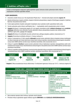 Isizulu Paper 1 Grade 12 Study Guide | PDF | Teachers | Curriculum