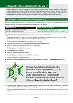 Isizulu Paper 1 Grade 12 Study Guide | PDF | Teachers | Curriculum
