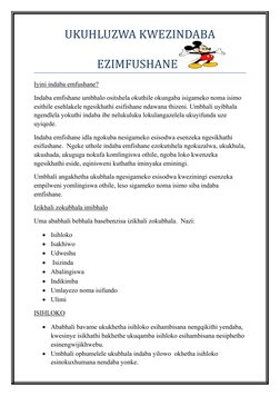 Ukuhlaziywa Kwendaba Emfushane | PDF