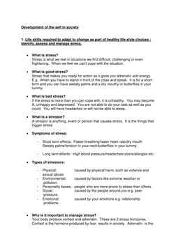 Grade 12 Life Orientation Notes 2021 | PDF | Stress (Biology ...