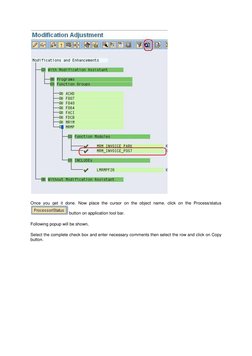 SPAU and SPDD: SAP Upgrade Guide | PDF | Software Bug | Subroutine