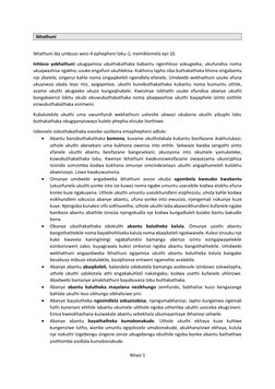 Understanding Ikhathuni Themes | PDF | Bantu