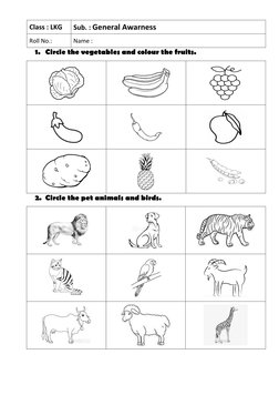 LKG Practice Worksheets for 2024-25 | PDF