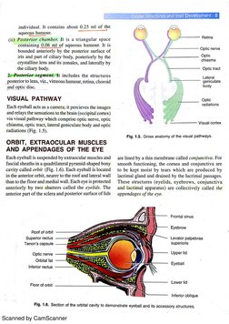 Anatomy and Physiology of the Eye | PDF