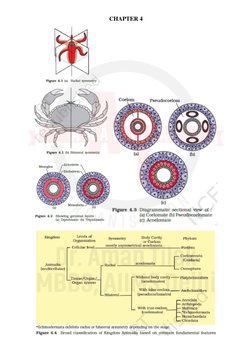 NCERT Class 11 & 12 Biology Diagrams | PDF
