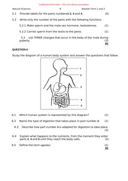 Grade 9 Natural Science Revision Booklet | PDF | Acid | Iron