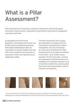 Ey Eu Pillars Assessments | PDF | European Union | Economies