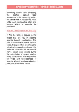 Four Stages of Speech Production | PDF | Linguistics | Phonetics
