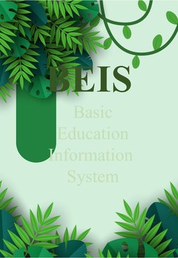 BEIS Classroom Bulletin Board Design | PDF | Teachers