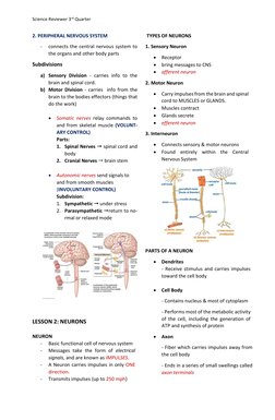 Grade 10 Science: Nervous System Review | PDF | Motor Neuron | Central ...