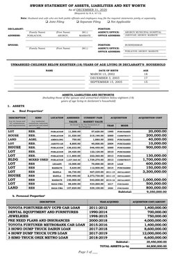 SALN Sample for Public Officials | PDF