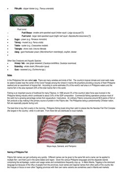 Philippine Fish Species and Names Guide | PDF | Fish And Humans ...