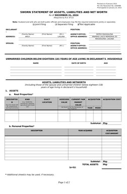 SALN Form 2024: Guidelines and Sample | PDF | Net Worth