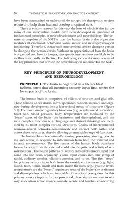 Neurodevelopmental Therapy for Trauma | PDF | Brain | Perception