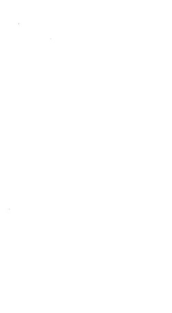 Michael Pollan-The Omnivores Dilemma PDF | PDF